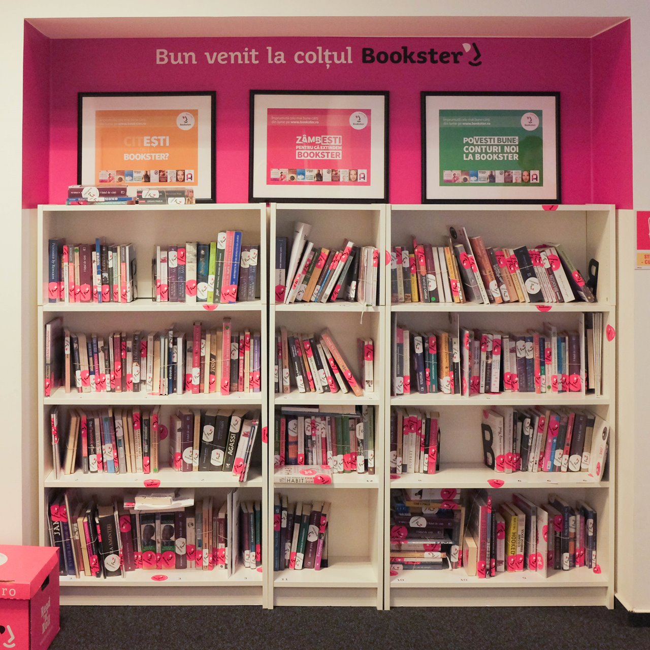 Alexandra Stroe & Iulia Ghiță, Bookster's Co-CEOs, on Lifelong ...