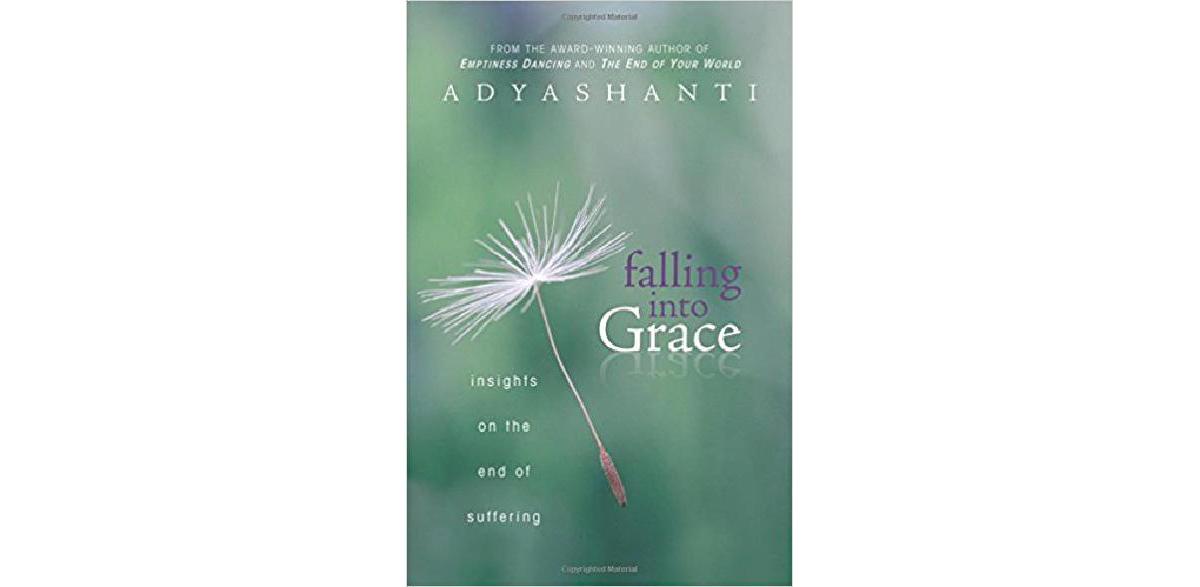 Falling into Grace: Insights on the End of Suffering - The CEO Library