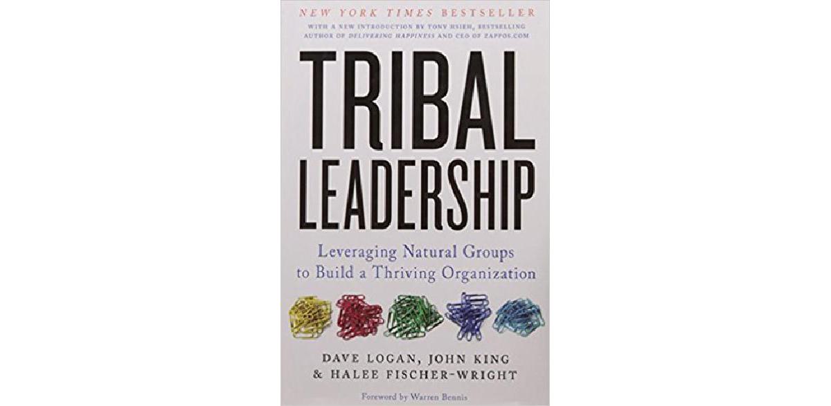 Tribal Leadership: Leveraging Natural Groups to Build a Thriving ...